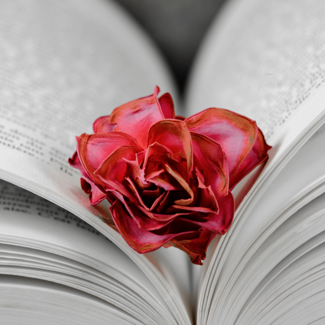 Serial romantic: how to write exciting romantic fiction | National ...