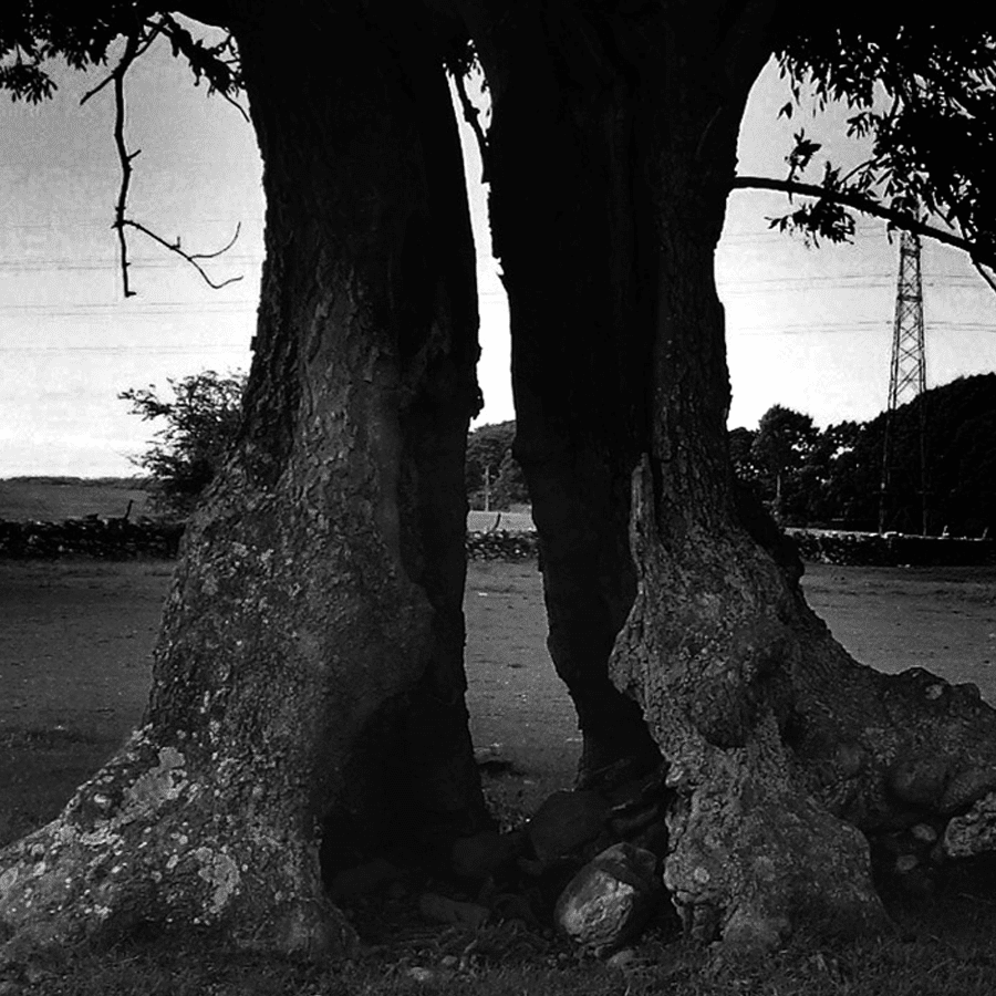 Soft Borders; Liminal Spaces | National Centre for Writing | NCW