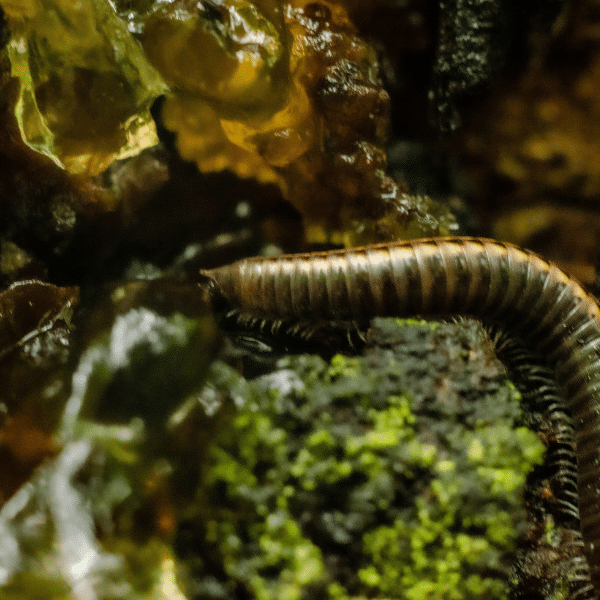 Marylyn Tan: Top five writing tips for rot, indigestion, the horribly ...