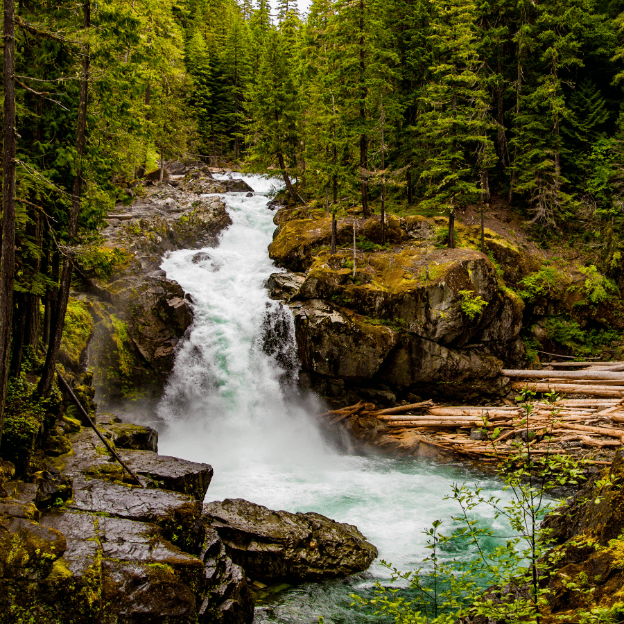 Nature writing: exploring the beauty of the natural world through words | National Centre for ...