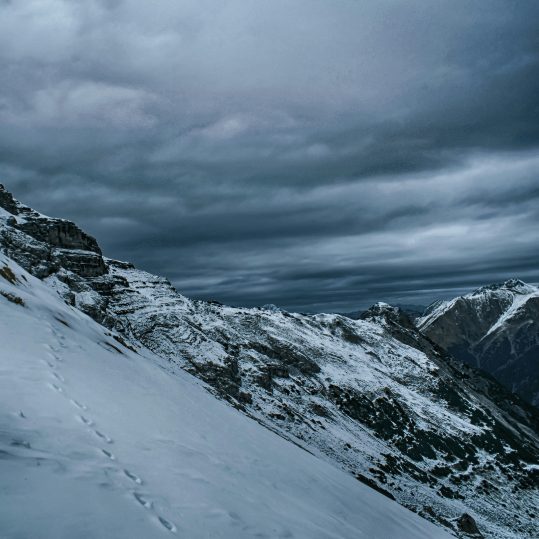 Nature writing: exploring the beauty of the natural world through words | National Centre for ...
